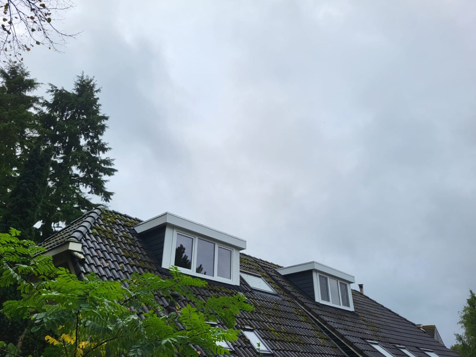 Dubbele dakkapel in één dag in Hollandscheveld | Dakkapellen Drenthe